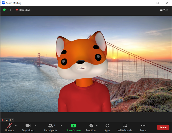 Instructions to join a Zoom meeting